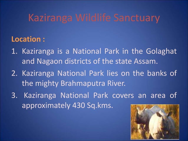 kaziranga-arindam.ppt