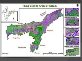 Kaziranga national park ppt (vinay anam) | PPTX