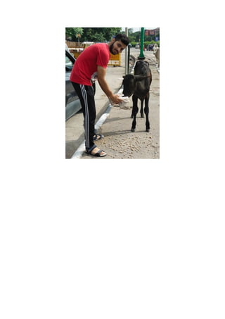 Kazi Zeeshan Ahmed NGO Report.pdf