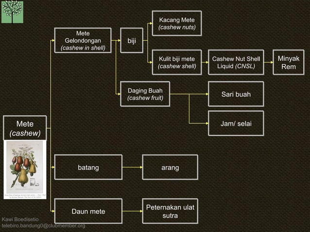 KB Pohon Industri-20 | PDF | Vegetarian Diets | Food & Drink