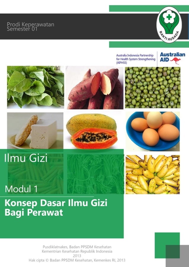 PENGANTAR ILMU GIZI | PDF