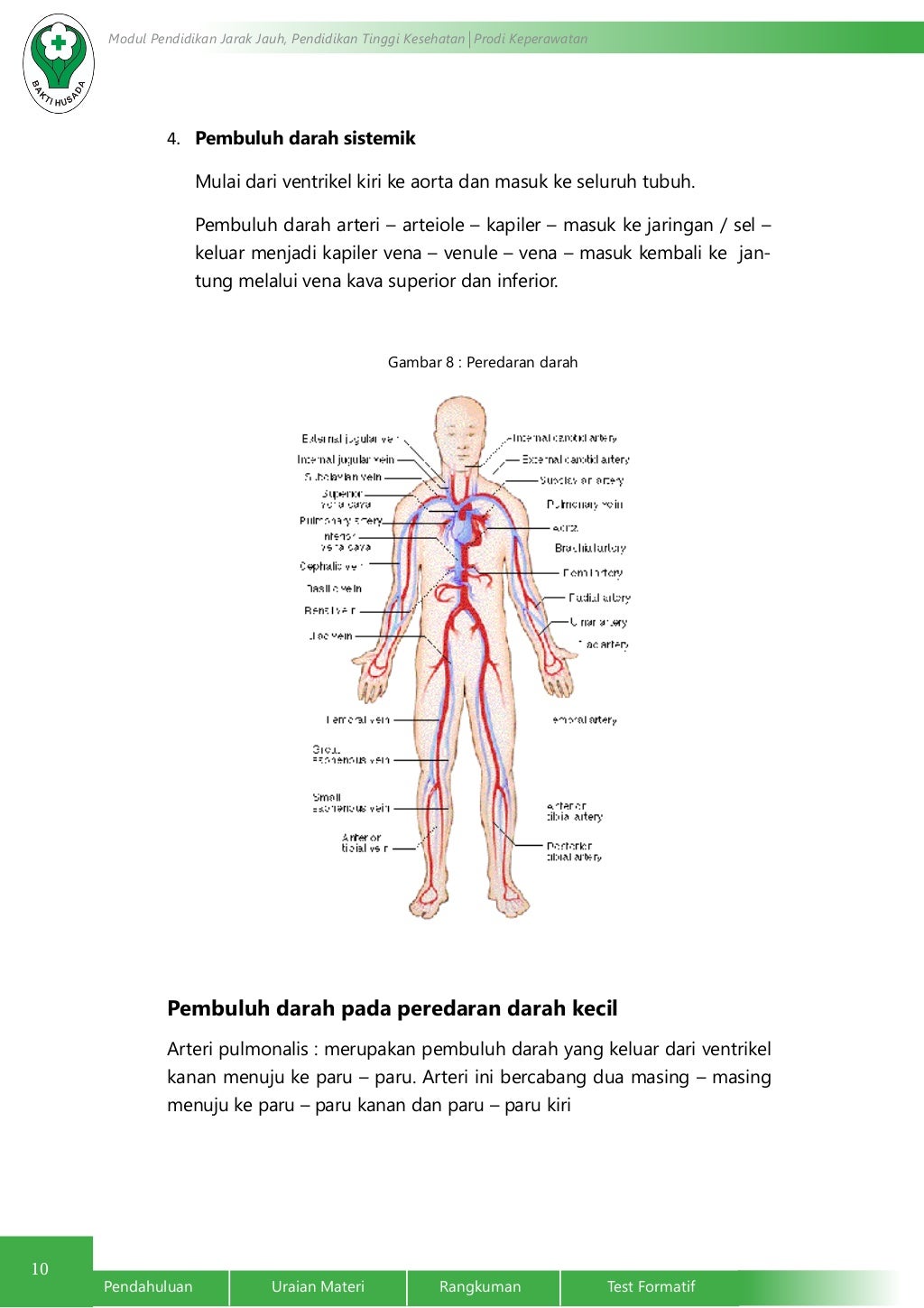 Sistem Kardiovaskuler - Riset