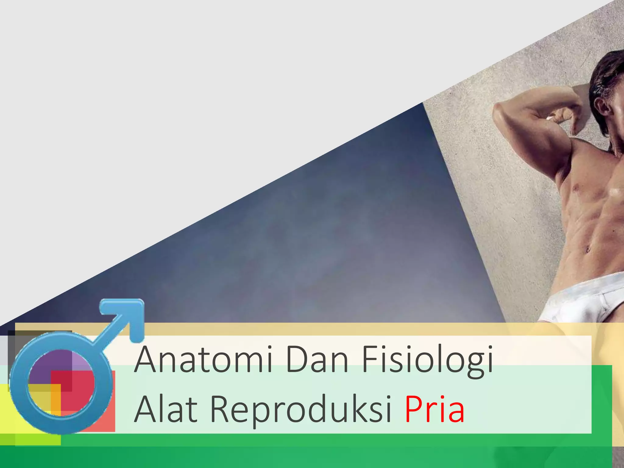 KB 1 Anatomi dan Fisiologi Alat Reproduksi | PPTX