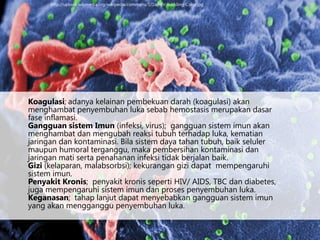 Kb 1 modul 3 kdm ii | PPTX