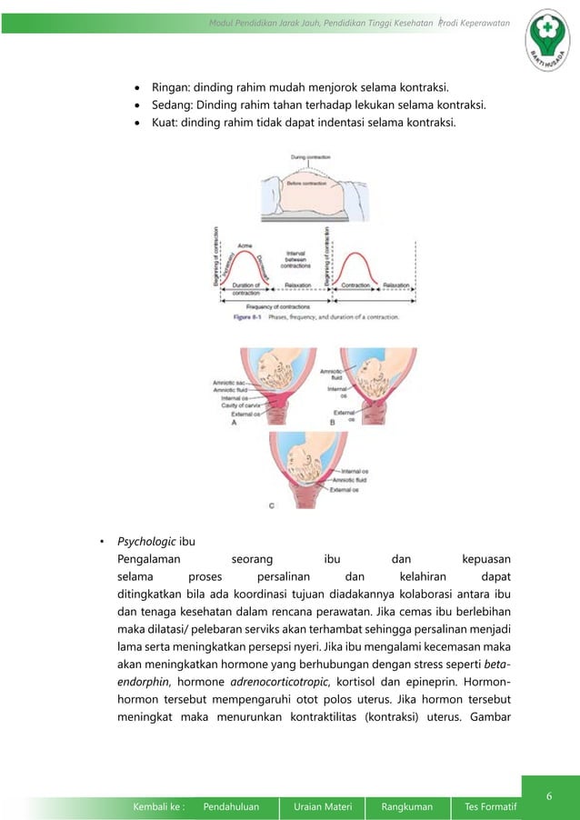 Konsep dasar ibu intranatal dan asuhan keperawatan pada ibu | PDF