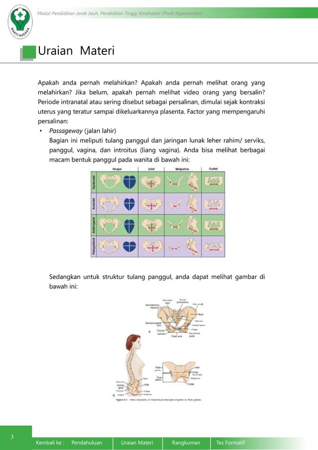 Konsep dasar ibu intranatal dan asuhan keperawatan pada ibu | PDF