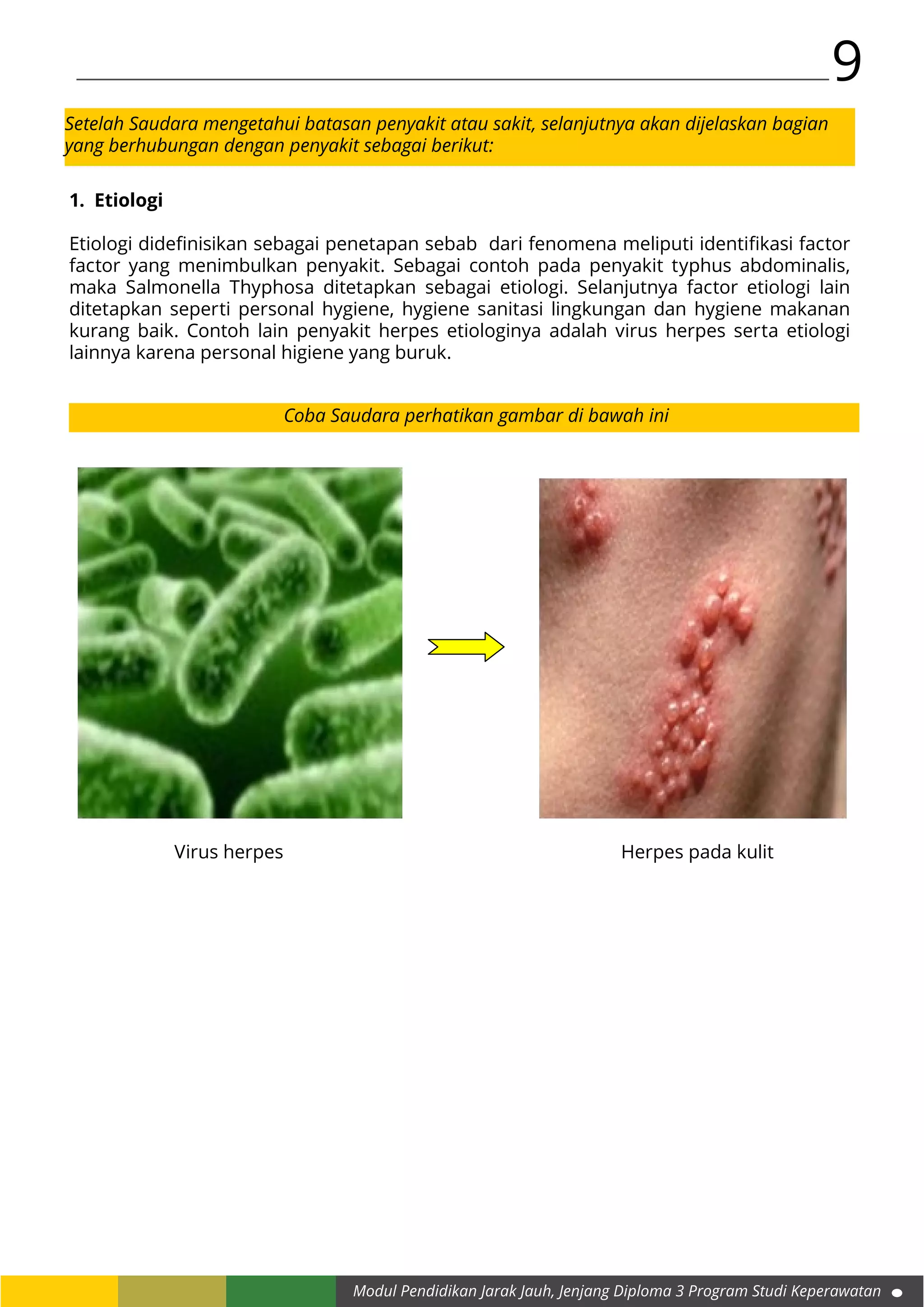Kb 1 patogenesis&patofisiologikelainanstruktur&fungsi | PDF