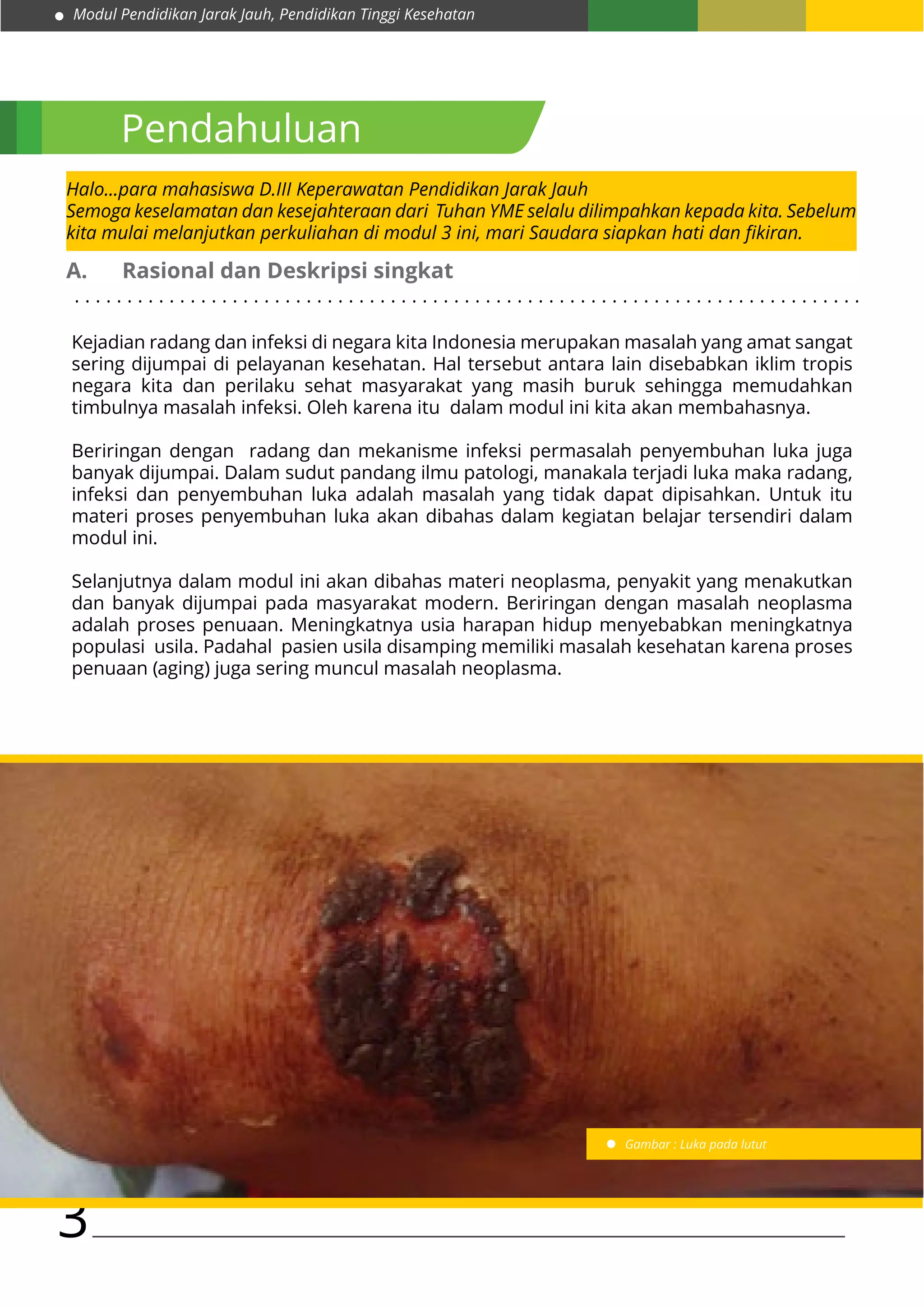 Kb 1 radang dan mekanisme proses infeksi | PDF