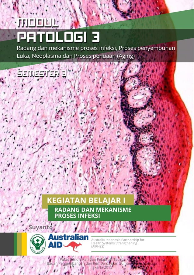 Kb 1 radang dan mekanisme proses infeksi | PDF