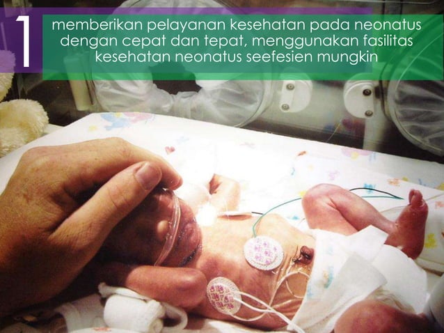 Kb 1 sistem rujukan pada neonatus | PPTX