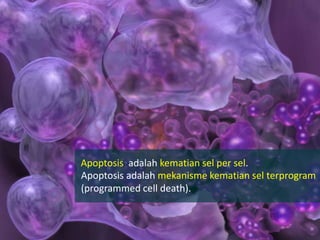 Tahap kematian jaringan dan | PPTX