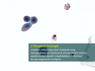Tahap kematian jaringan dan | PPTX
