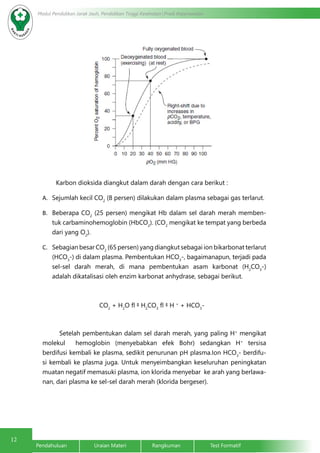 Anatomi Fisiologi Sistem Pernafasan (Respirasi) | PDF