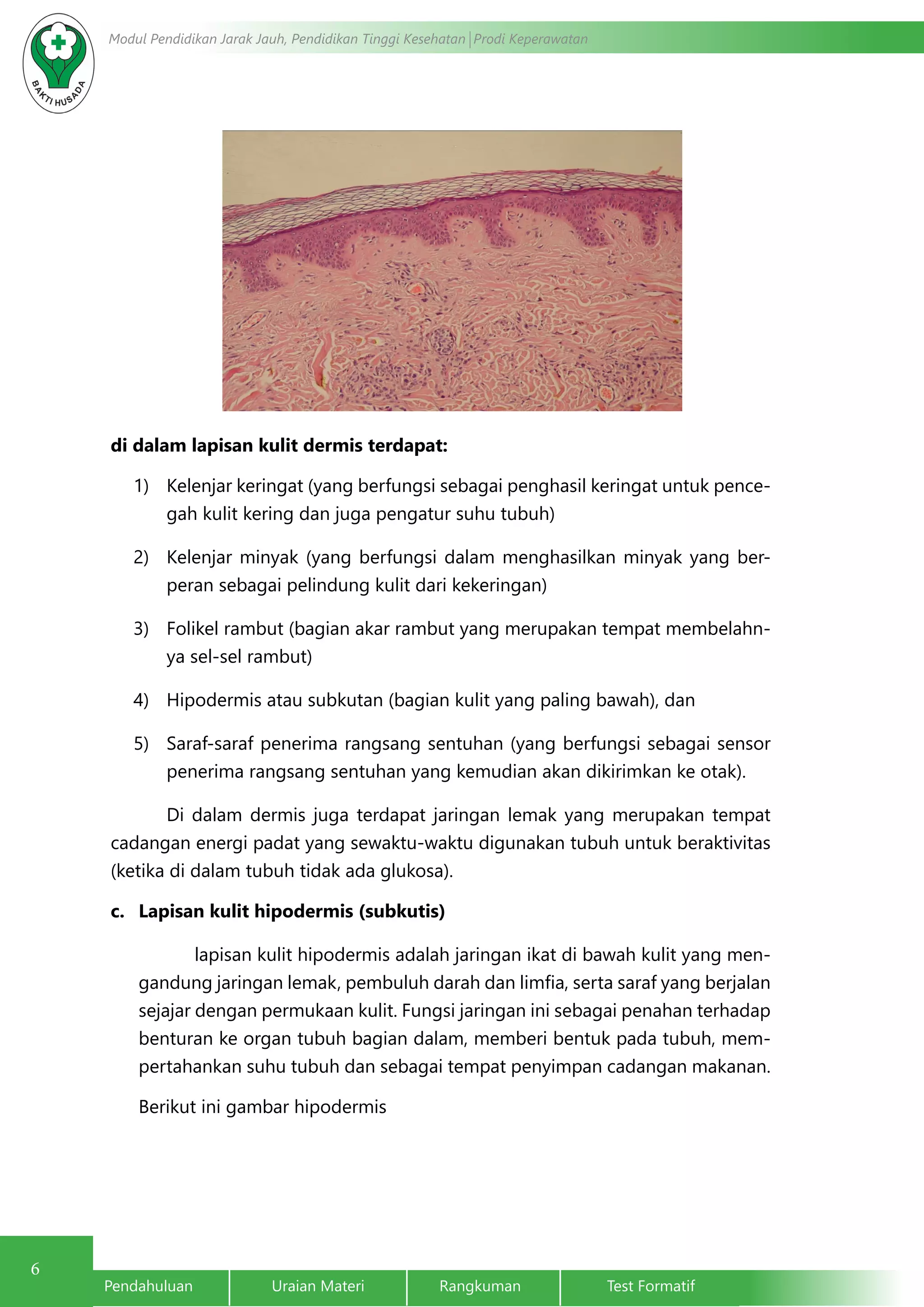 Anatomi Fisiologi Sistem Integumen dan Muskuloskeletal | PDF