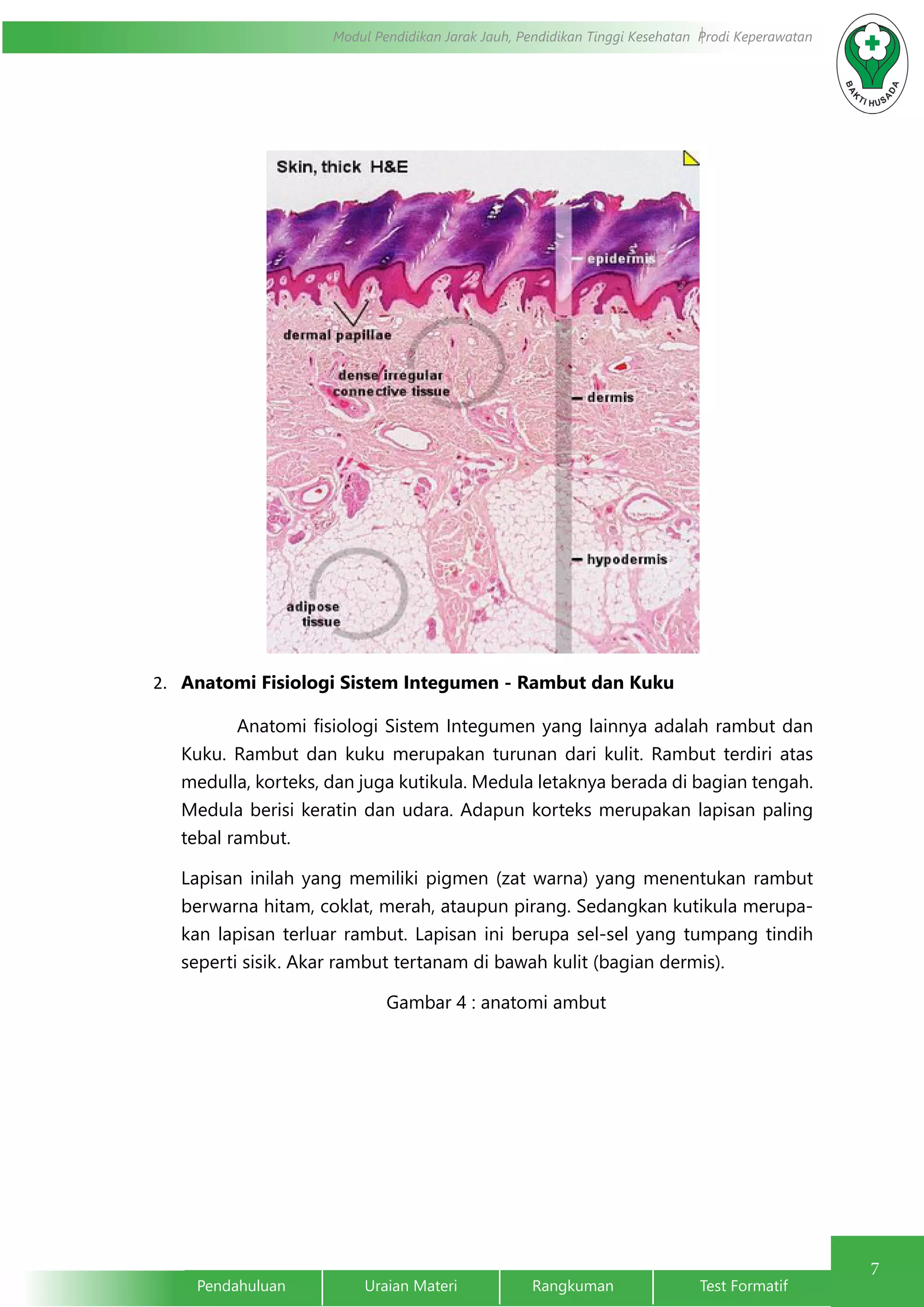 Anatomi Fisiologi Sistem Integumen dan Muskuloskeletal | PDF