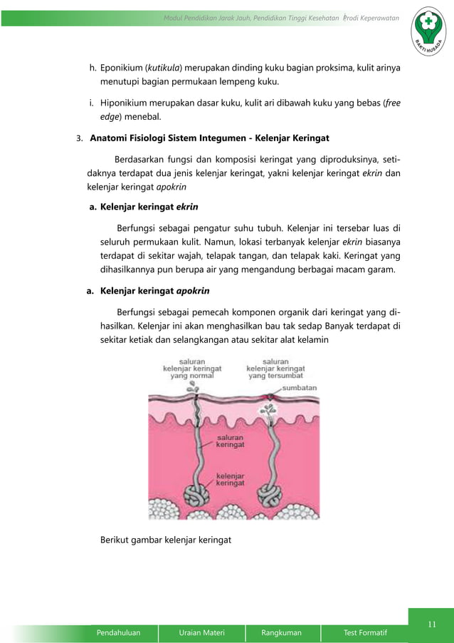 Anatomi Fisiologi Sistem Integumen dan Muskuloskeletal | PDF