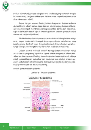 Anatomi Fisiologi Sistem Integumen dan Muskuloskeletal | PDF
