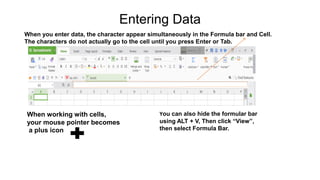 WPS Entering Data | PPTX
