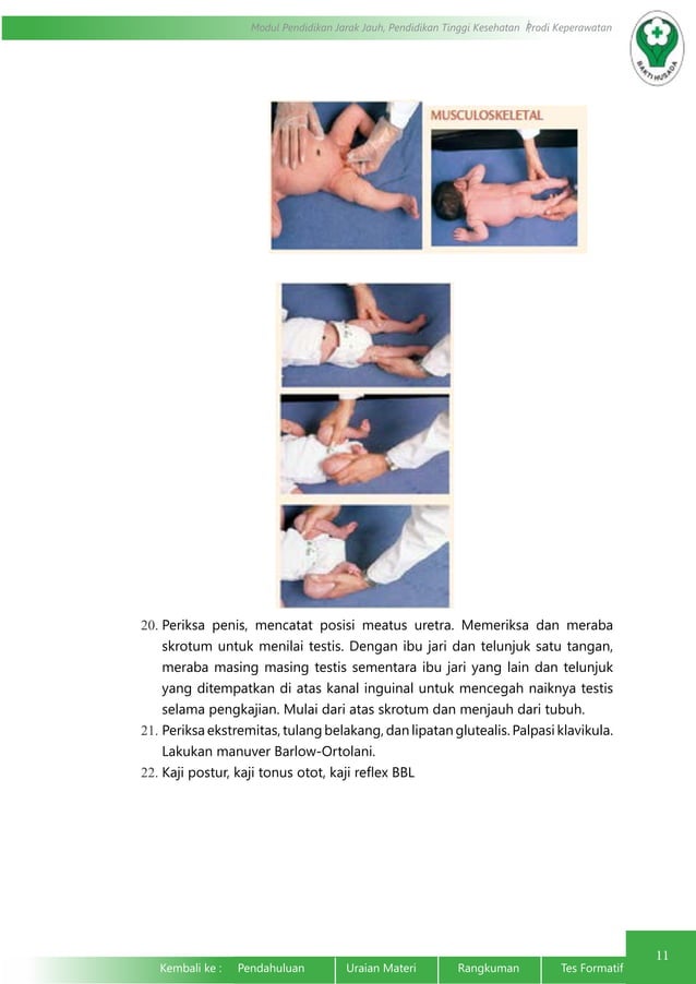 Konsep dasar dan asuhan keperawatan bayi baru lahir (BBL) | PDF