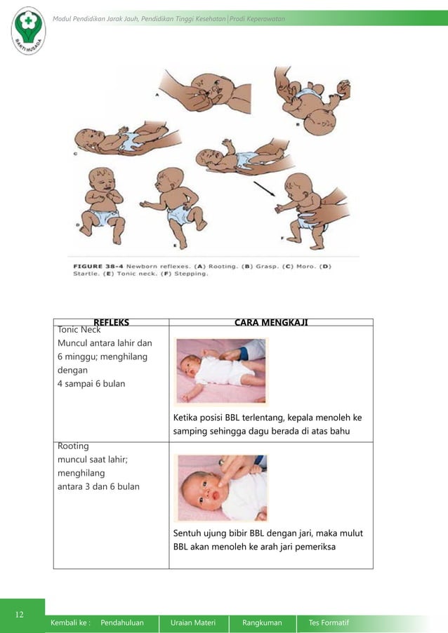 Konsep dasar dan asuhan keperawatan bayi baru lahir (BBL) | PDF