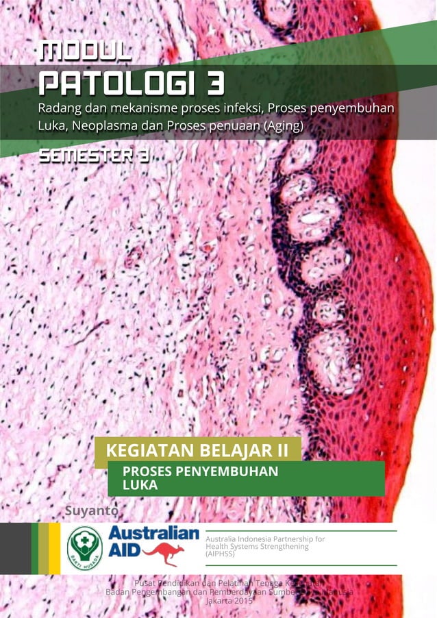 Proses Penyembuhan luka | PDF