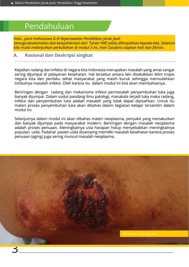 Proses Penyembuhan luka | PDF