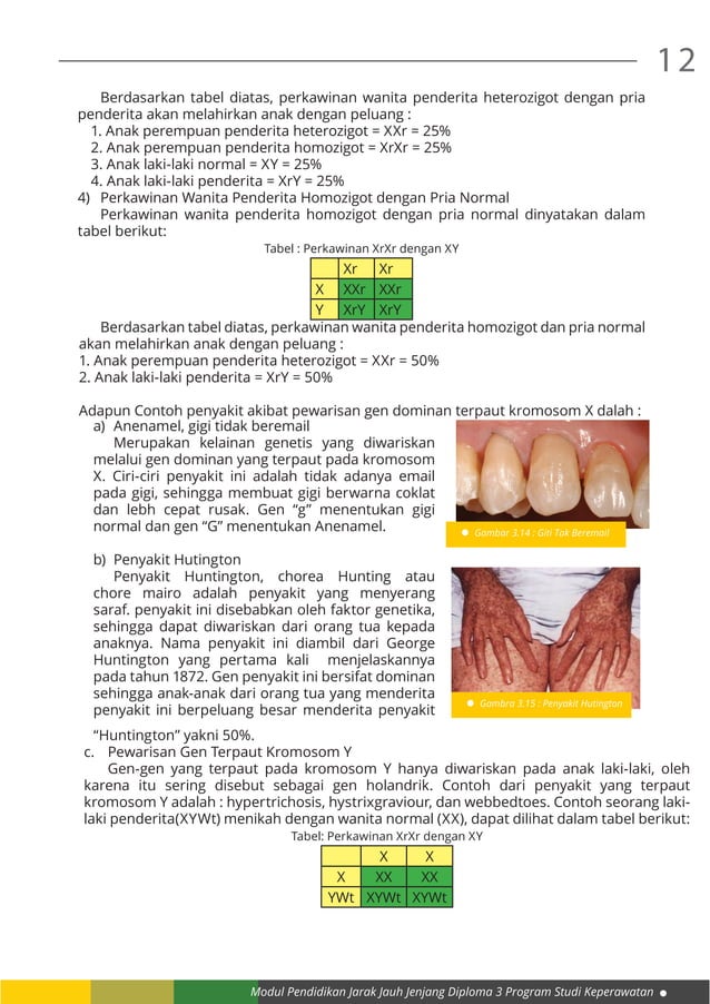 Kb3 kelainan seks dan kromosom | PDF