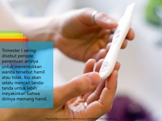 KB 4 Perubahan dan Adaptasi Psikologis Pada Ibu Hamil | PPTX