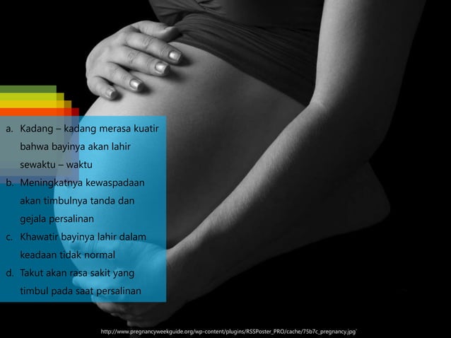 Perubahan dan adaptasi psikologis pada ibu hamil | PPTX