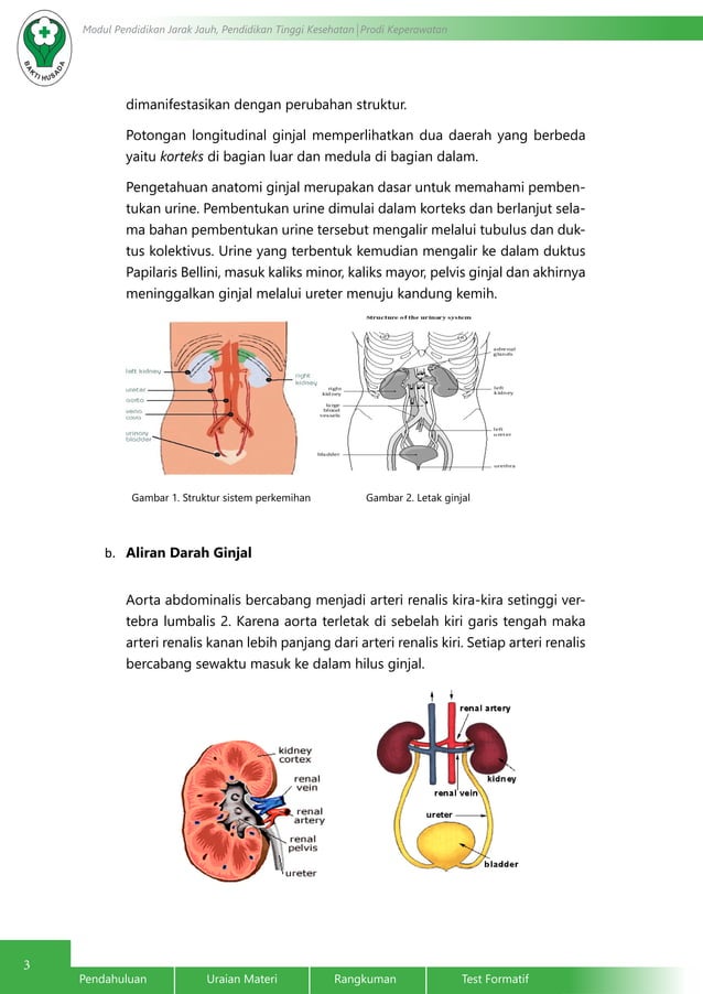 Anatomi dan Fisiologi Ginjal dan Saluran Perkemihan | PDF