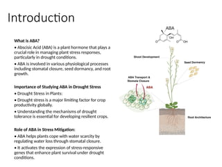 ABA in plant abiotic stress mitigation | PPT