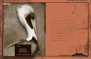 Work Samples 1 | PDF