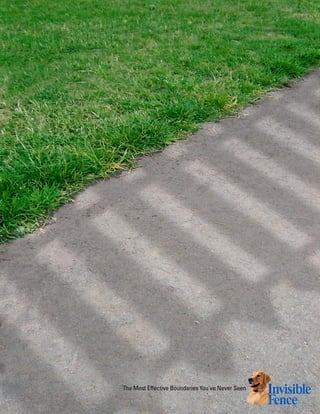 Work Samples 1 | PPT