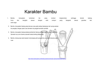 Konstruksi Bahan Bangunan-Bambu | PPTX