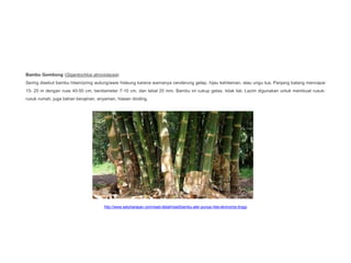 Konstruksi Bahan Bangunan-Bambu | PPTX