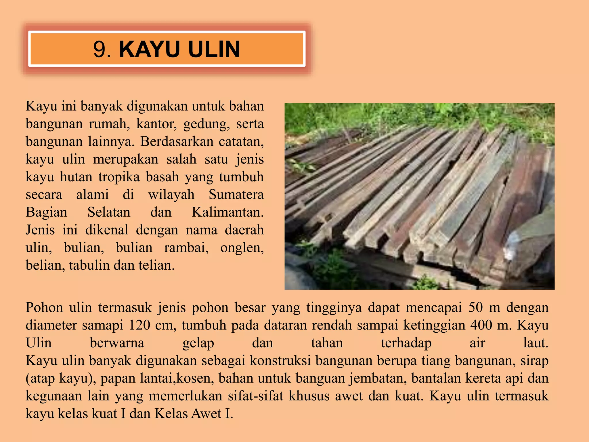 Kbb_UII_Arsi 14_ a_kiki cs_kayu-lengkap_okky | PPTX