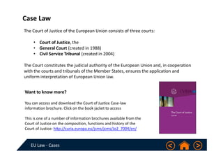 European Union Law - Knowledge Base | PDF