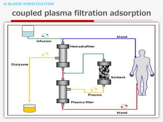 K blood purification | PDF | Blood Disorders | Diseases and Conditions
