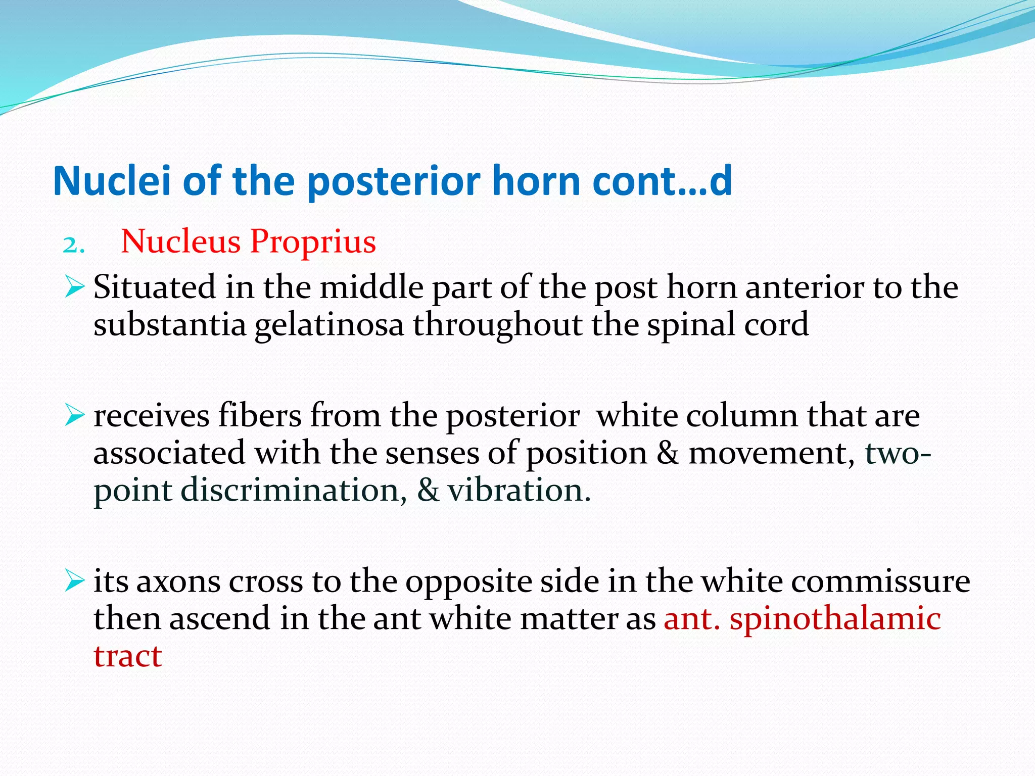 anatomy,physiology of spinal cord 7CSF | PPTX
