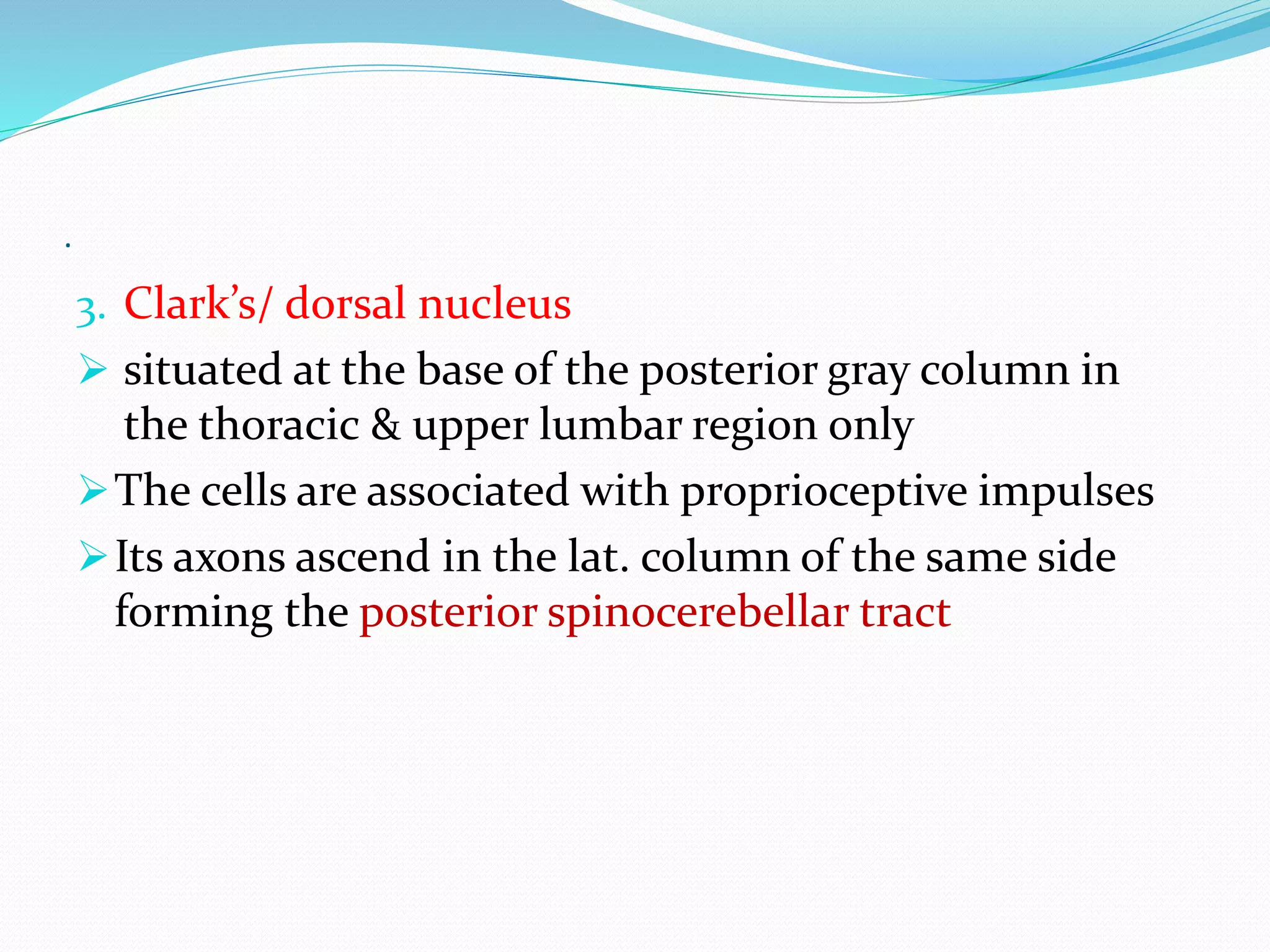anatomy,physiology of spinal cord 7CSF | PPTX
