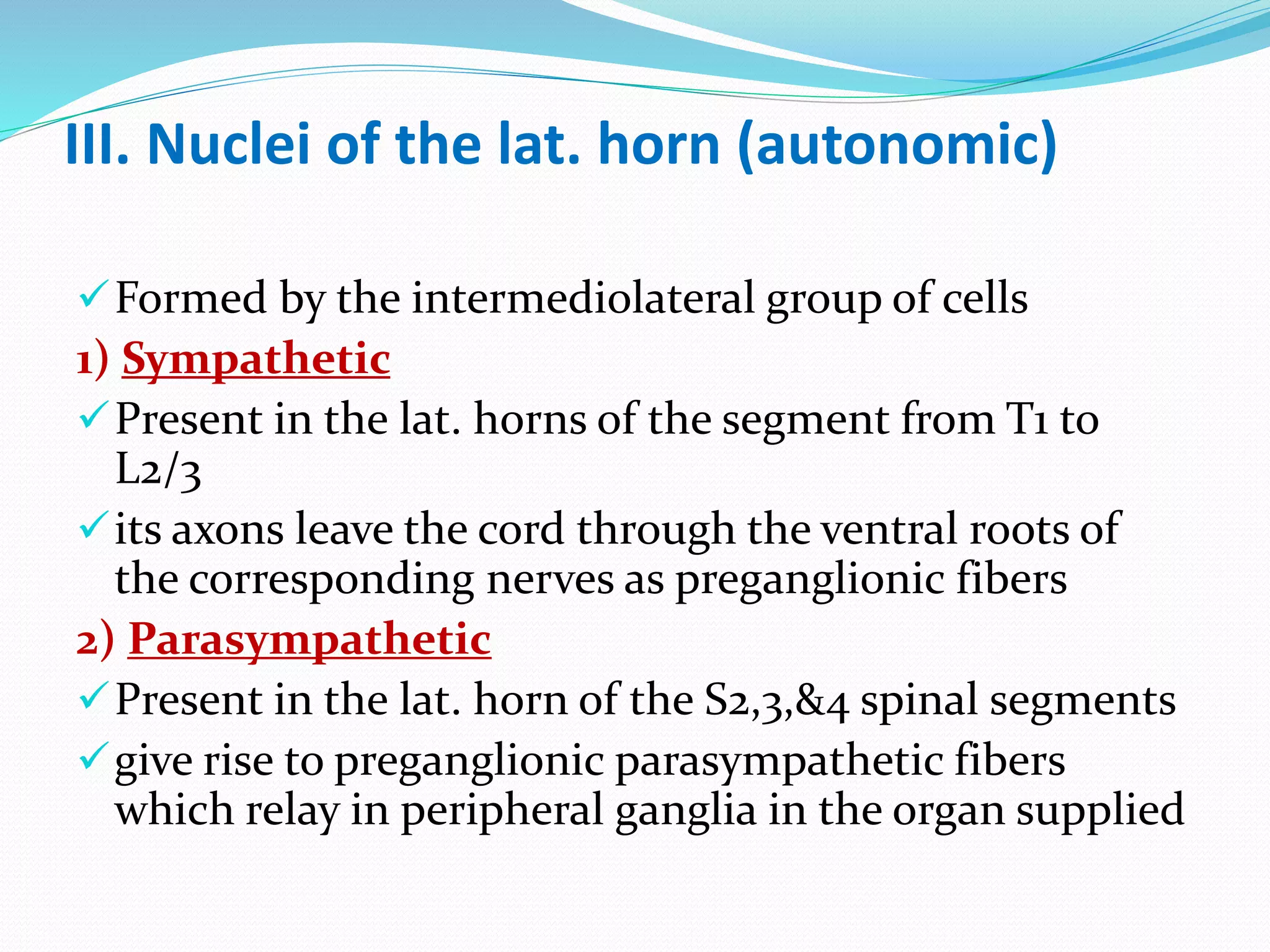 anatomy,physiology of spinal cord 7CSF | PPTX