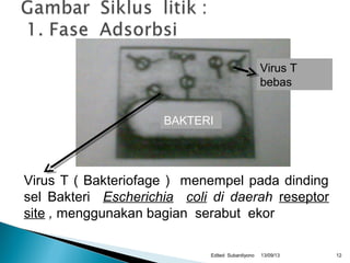 Kbm biologi virus | PPT