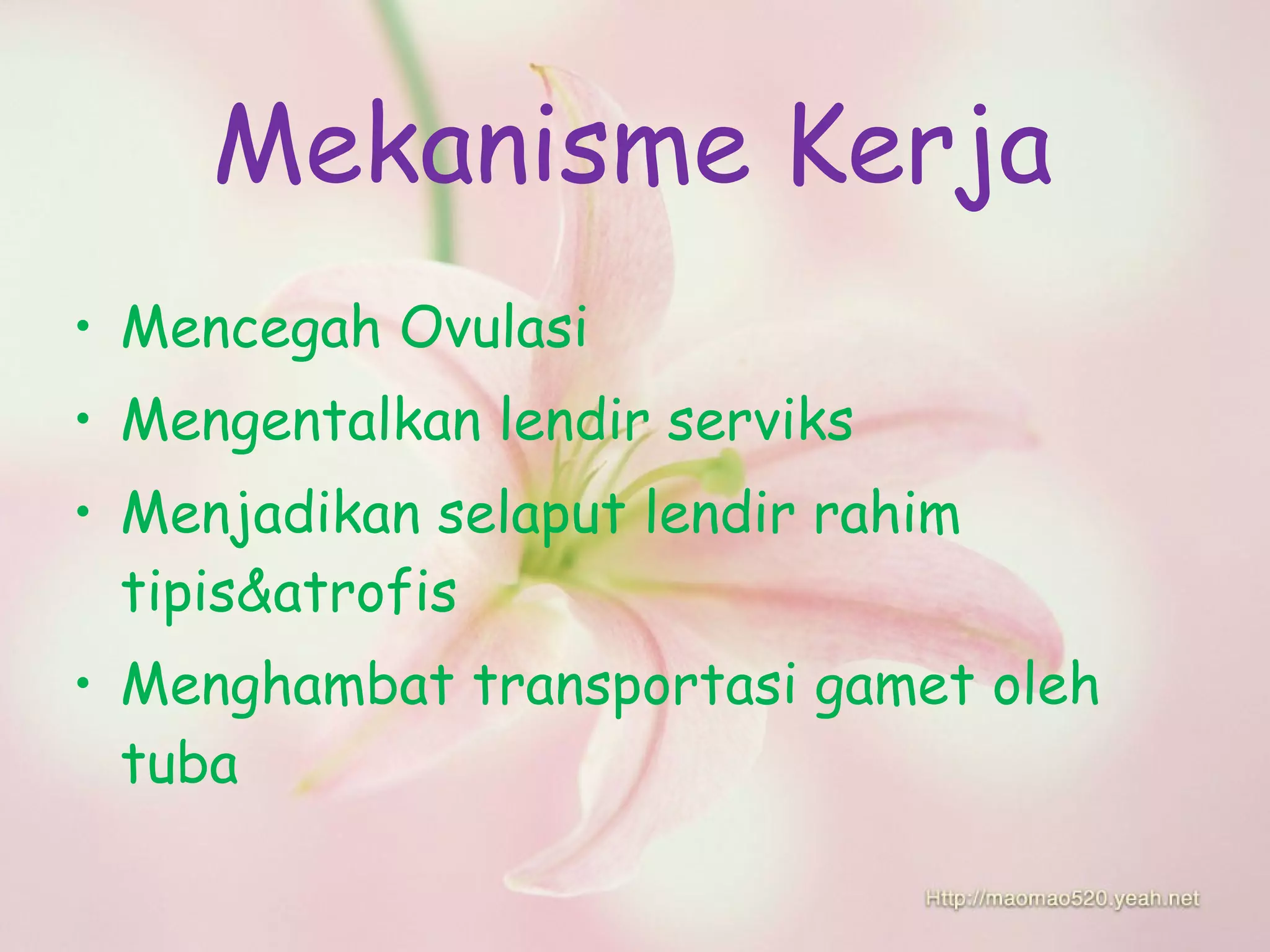 Kb suntik 3 bulan PPT | PPT