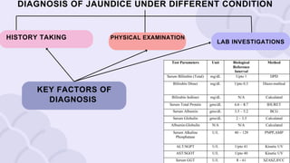 jaundice - bilirubin metabolism, jaundice classification | PDF