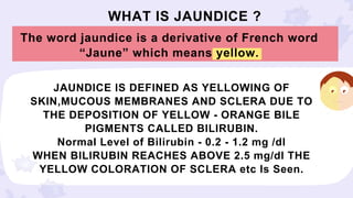jaundice - bilirubin metabolism, jaundice classification | PDF