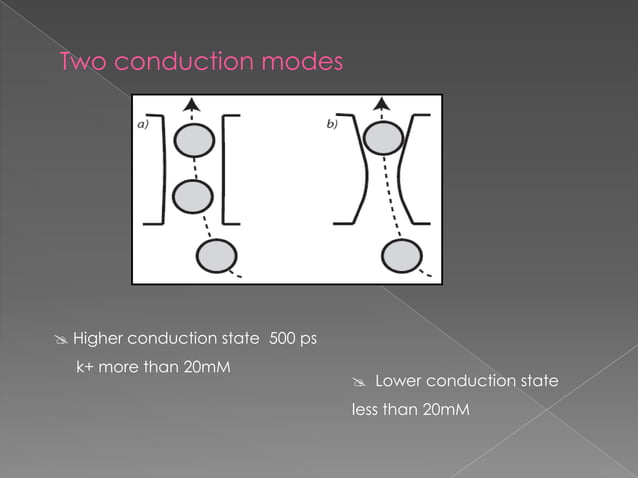 K+ channel modulators | PPT
