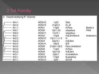 K+ channel modulators | PPT