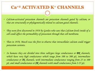 Potassium (K+) channels | PPTX