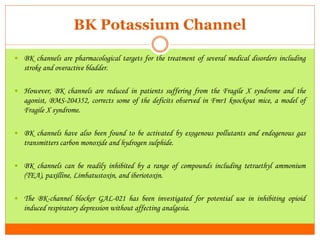 Potassium (K+) channels | PPTX