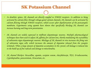 Potassium (K+) channels | PPTX